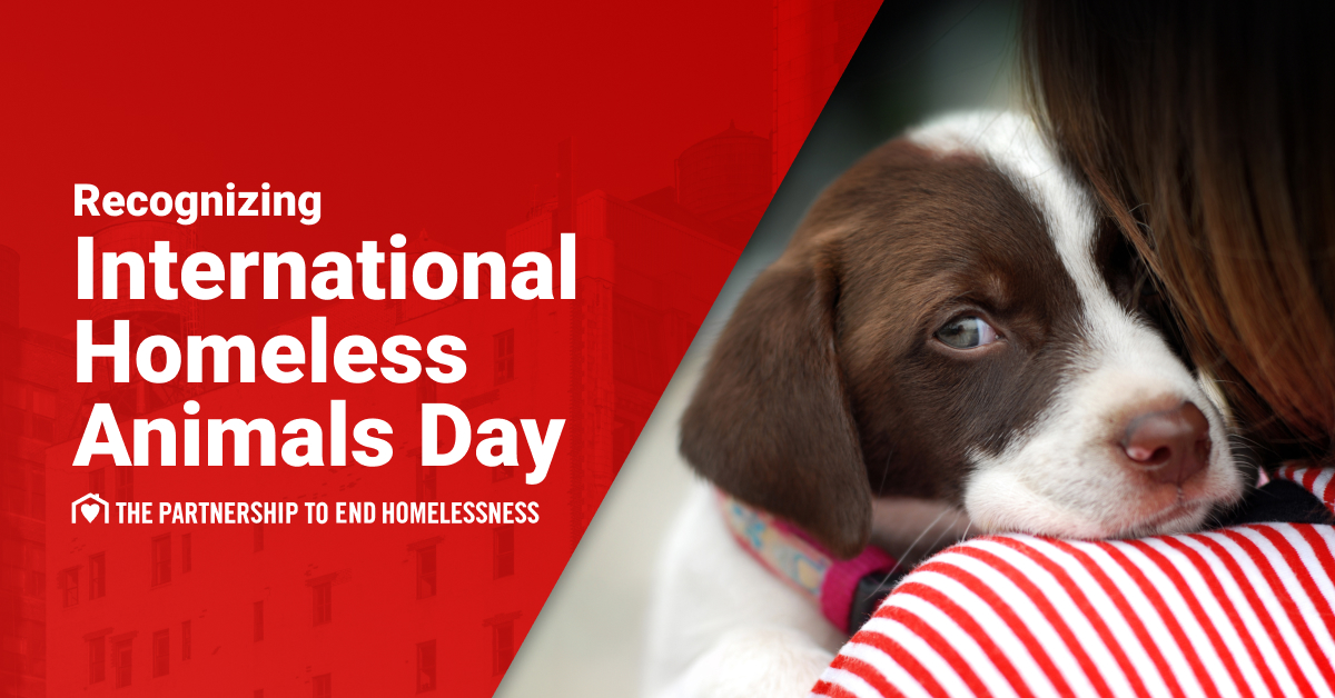 Save Homes on International Homeless Animals Day - The Partnership to ...